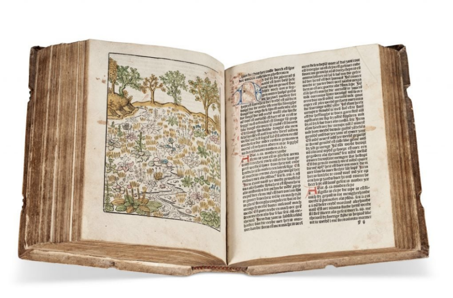 Bir beyin cerrahının nadir kitapları - Artam Antik A.Ş. Müzayede